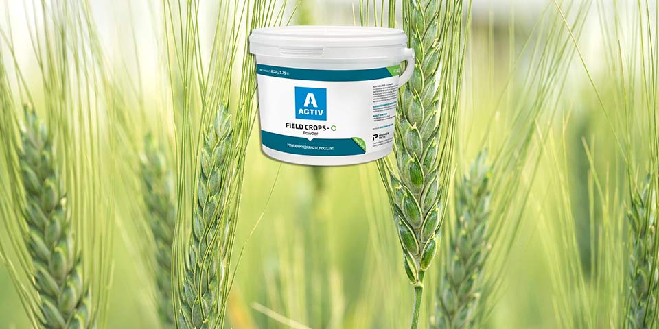 AGTIV FIELD CROPS Powder | ORGANIC | Mycorrhizae | Inoculant