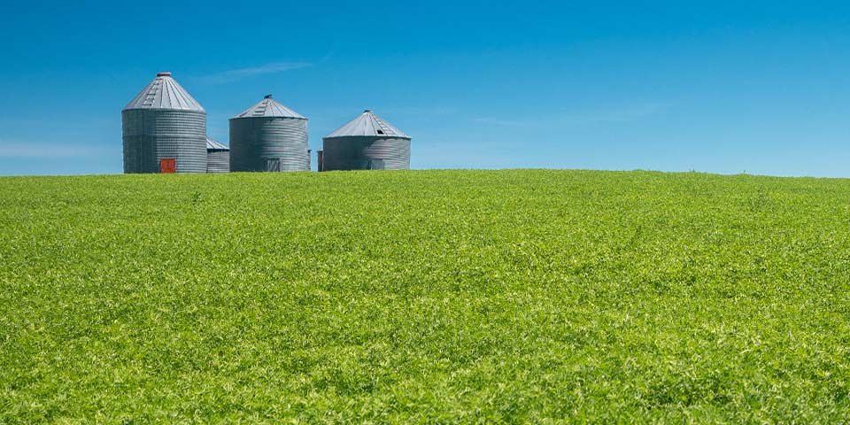 AGTIV - Crop rotation inoculants