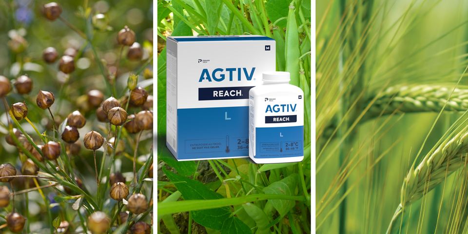 AGTIV REACH L | DRY BEANS, CEREALS & FLAX Inoculant | Mycorrhizae