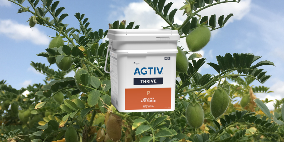AGTIV THRIVE P | CHICKPEA inoculant | Mycorrhizae & Rhizobium