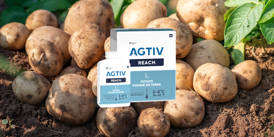 AGTIV REACH L | POTATO Inoculant | Mycorrhizae