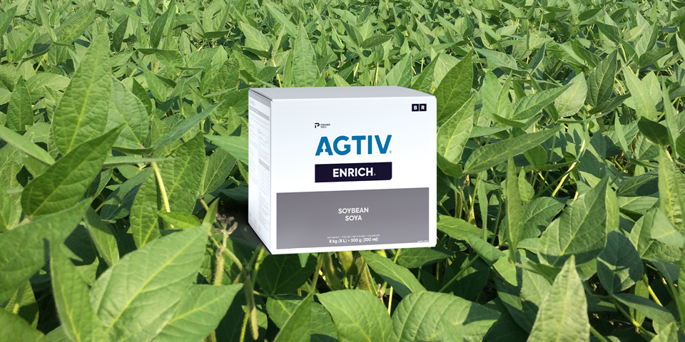 AGTIV ENRICH | SOYBEAN inoculant | Bacillus & Rhizobium