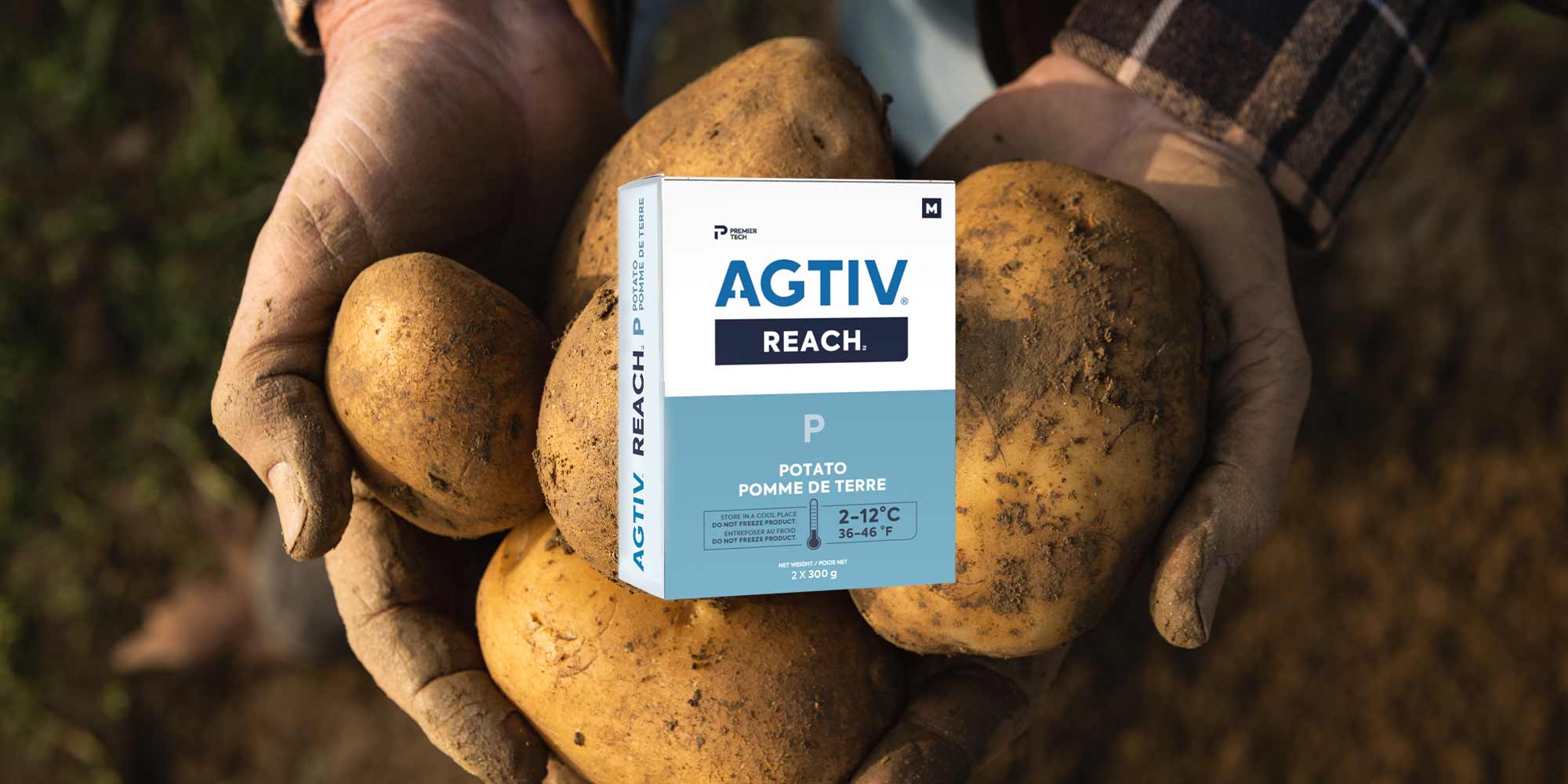 AGTIV REACH P | POTATO Inoculant | Mycorrhizae